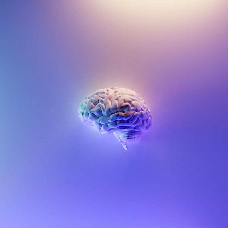 Embracing Radical Brains | Bradford Literature Festival