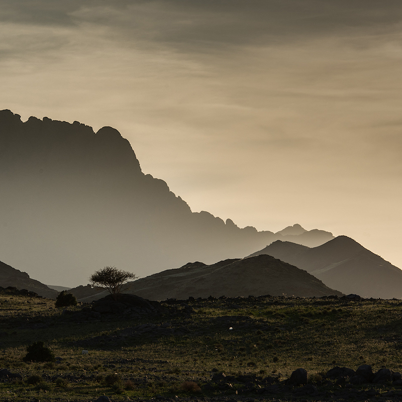 Peter Sanders: A Retrospective | Bradford Literature Festival