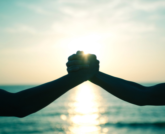 Bridging Divides: Social Cohesion in Polarised Times | Bradford ...