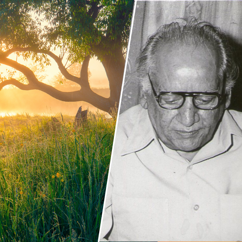 The Poet as Muse: Faiz and the Visual Imagination | Bradford Literature ...